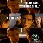 Quel meme vivente di Leonardo Di Caprio